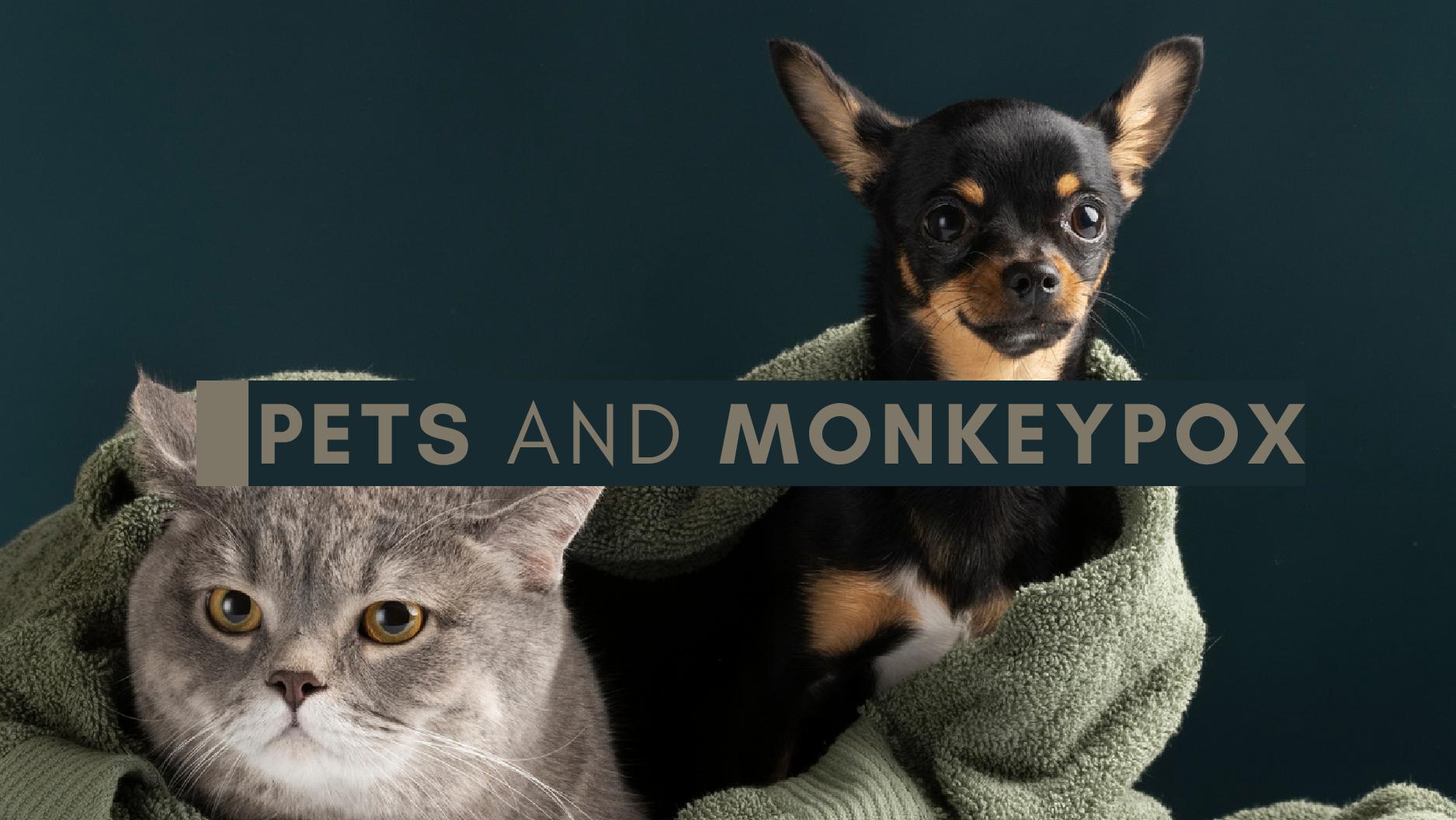 Monkeypox Risks for Pets - Croton Animal Hospital